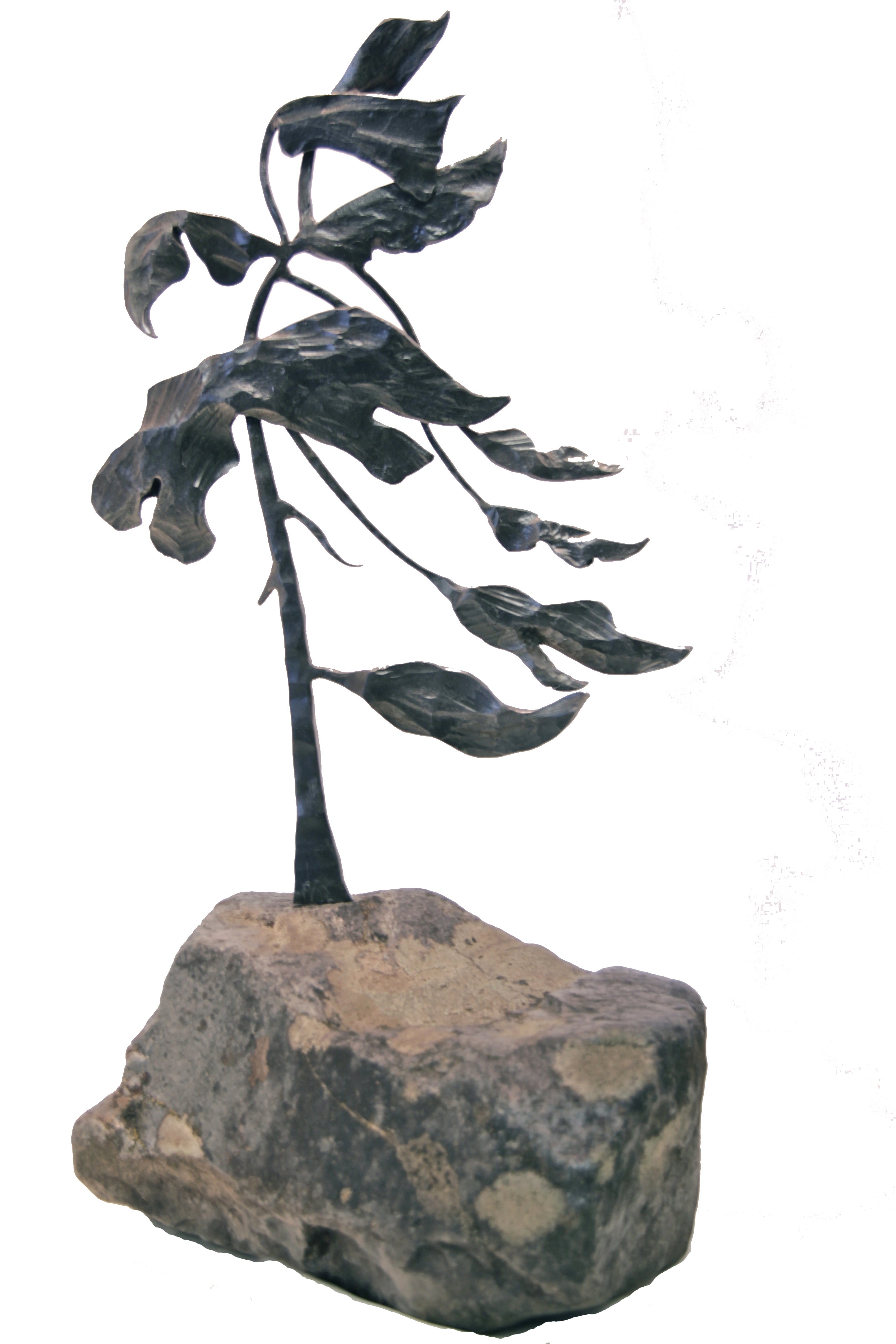 Gallery Art – Paul Reimer